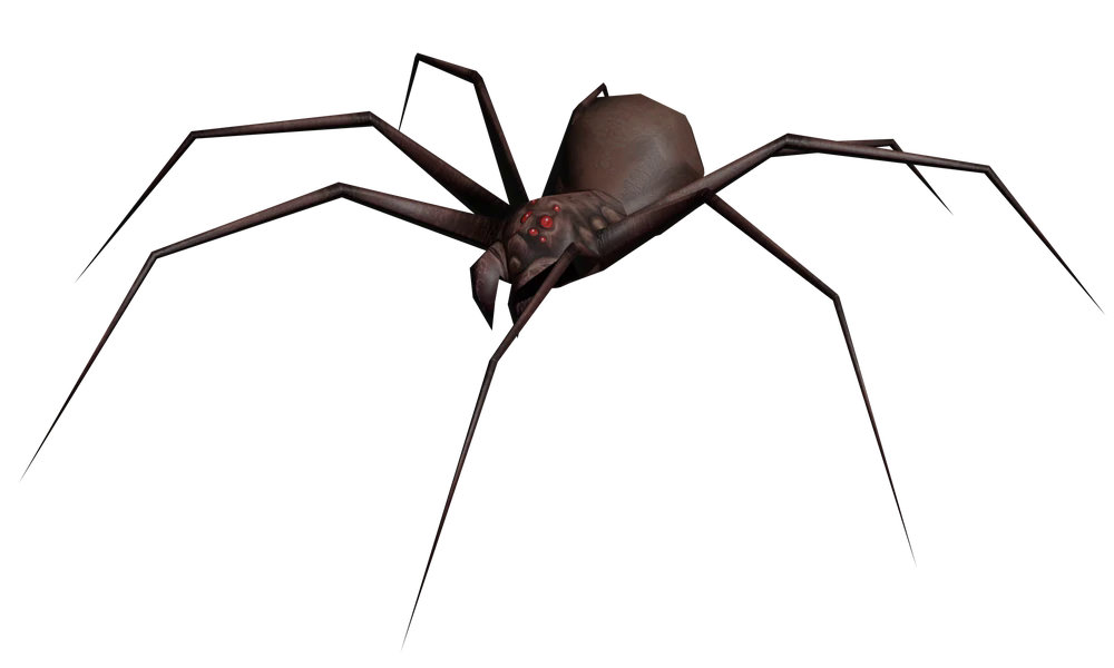 22 | Granny's Spider