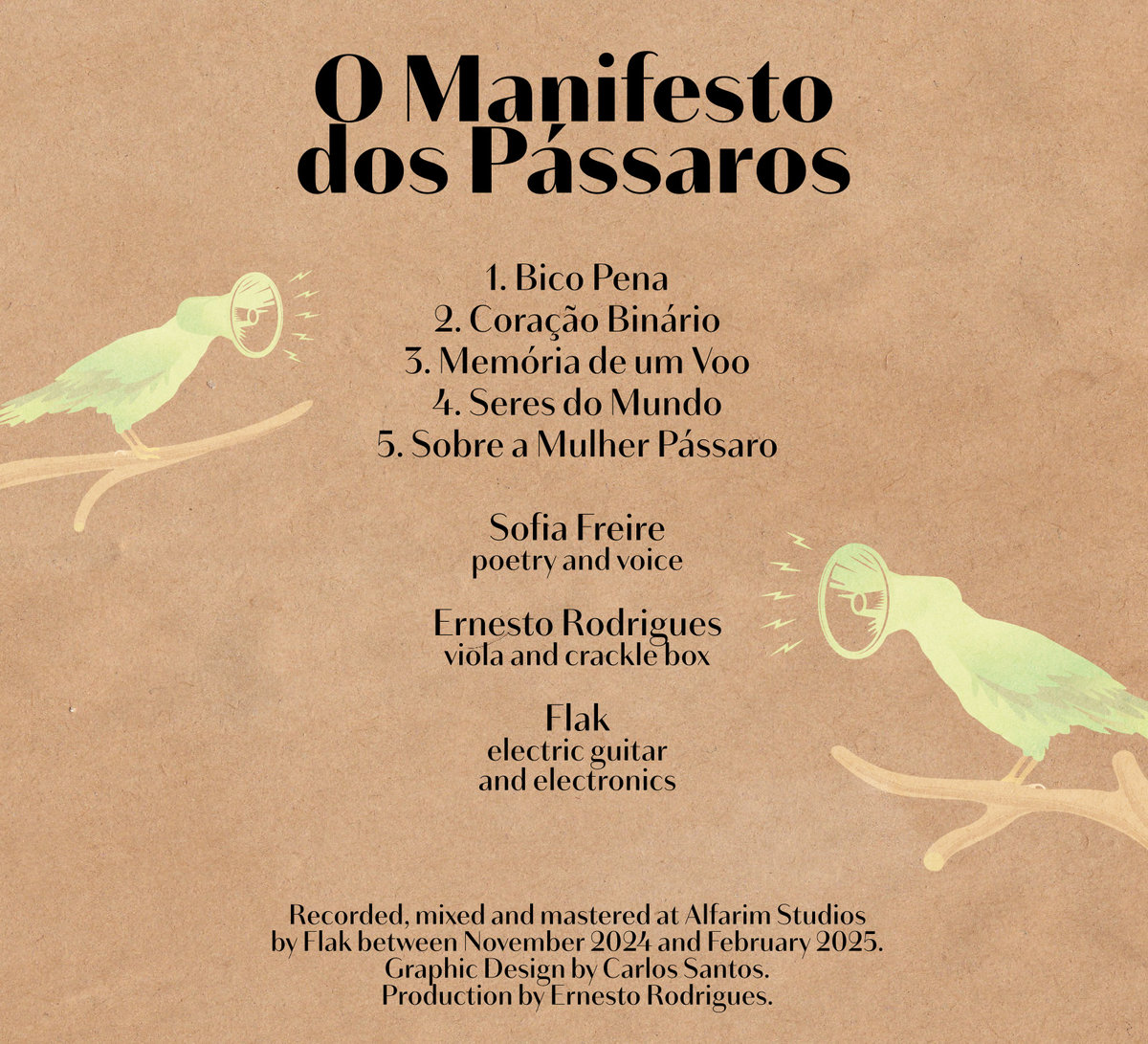 O Manifesto dos Pássaros | Sofia Freire, Ernesto Rodrigues & Flak ...