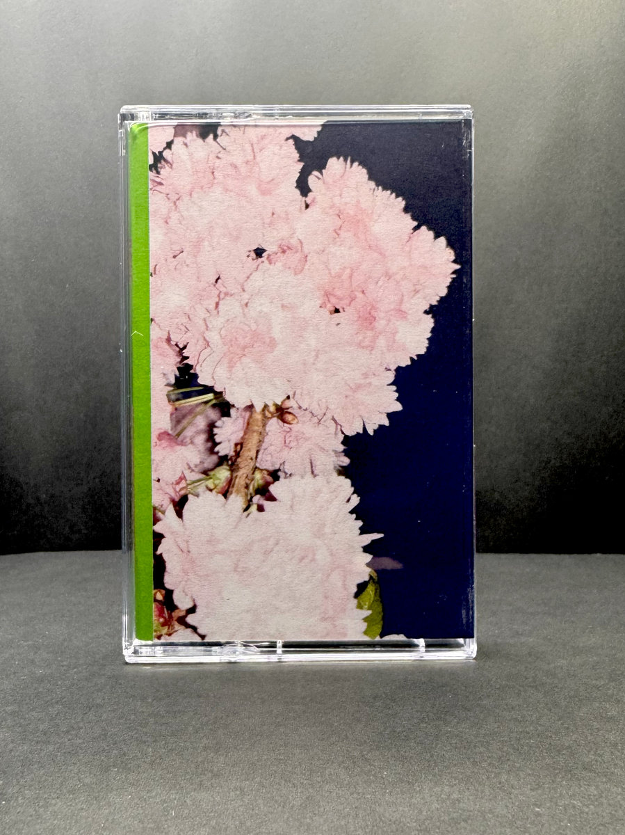 EFFLORESCENCE | BALF | Venalism