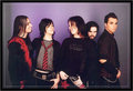 Icon & The Black Roses | Icon & The Black Roses
