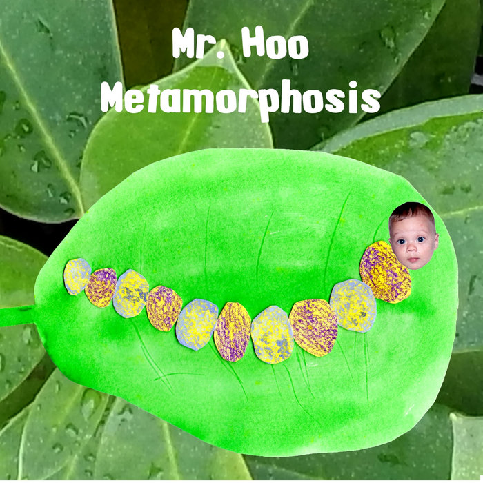 Metamorphosis | Mr. Hoo