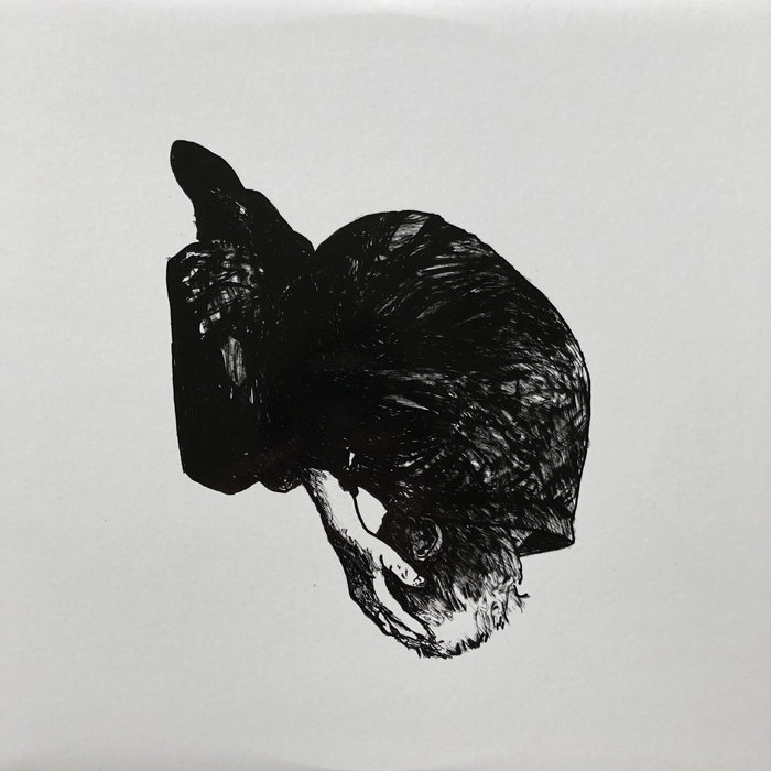 Play The Red Krayola Live 1967 | J. Spaceman, John Coxon | Treader