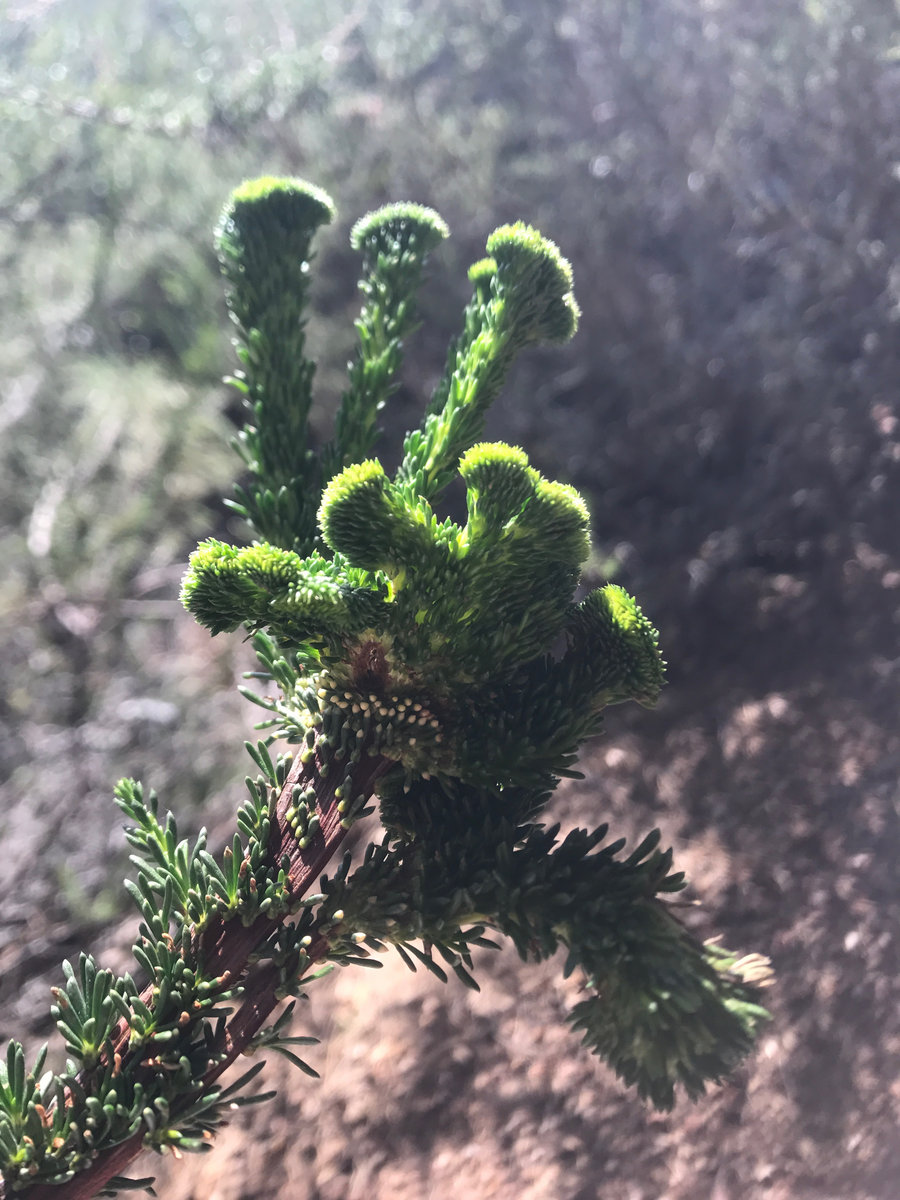 Spoke | Michelle Moeller