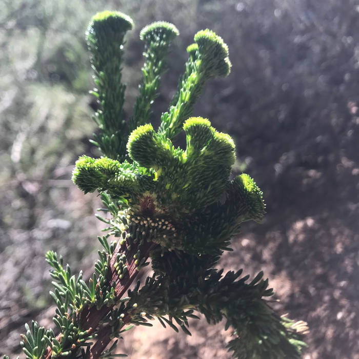 Music | Michelle Moeller