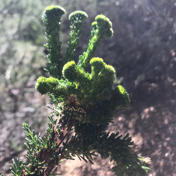 Spoke | Michelle Moeller