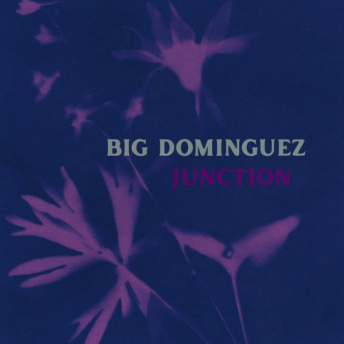 Junction | Big Dominguez