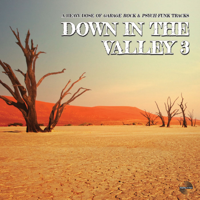 Down In The Valley 3 | V/A | perfecttoyrecords
