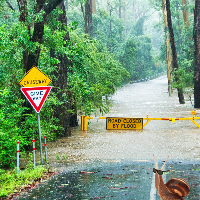 Sink or Snail | Sacred Snail