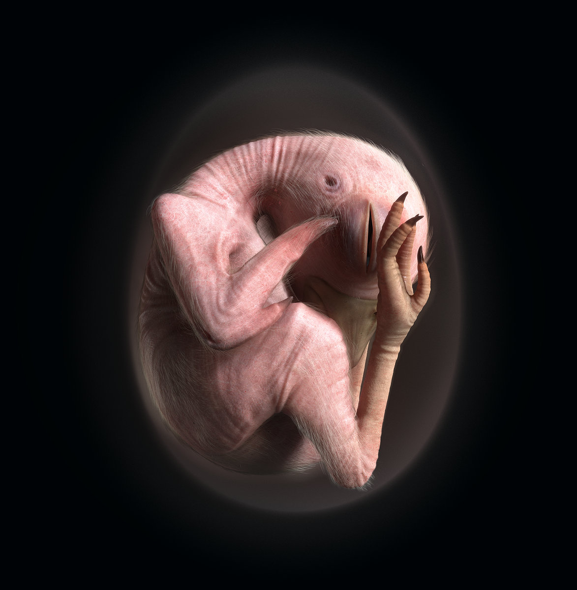 Phase 3: Electric Doom Synthesis - Dogs [Tape] | V/A | Natural Sciences