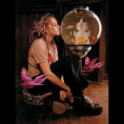 How Strong | Sheila Nicholls