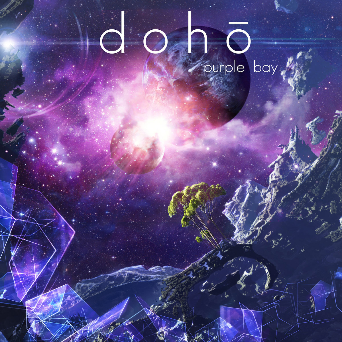 Purple Bay | Doho