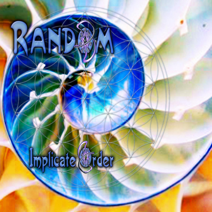Random - The Implicate Order | Random | Geomagnetic Records