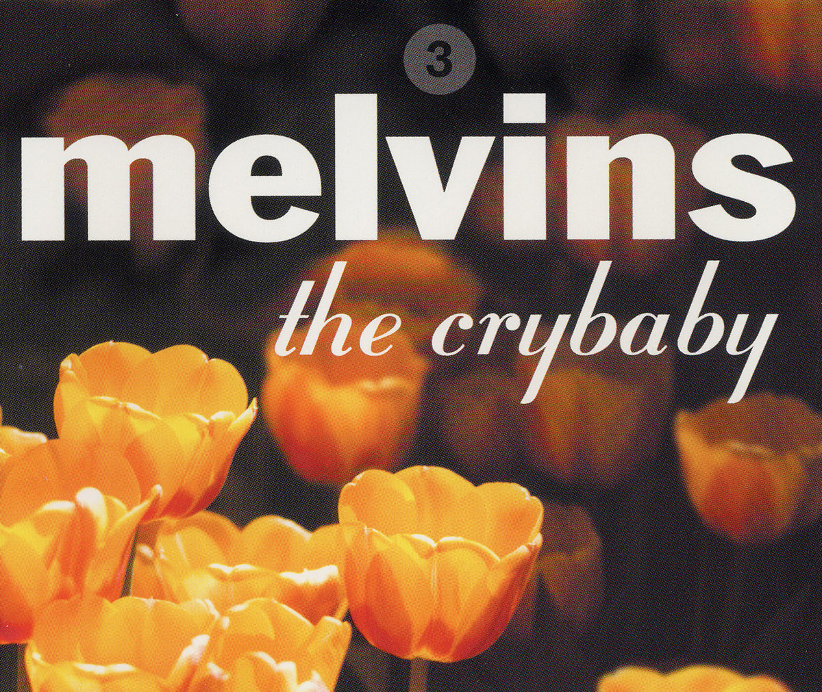 The Crybaby | Melvins