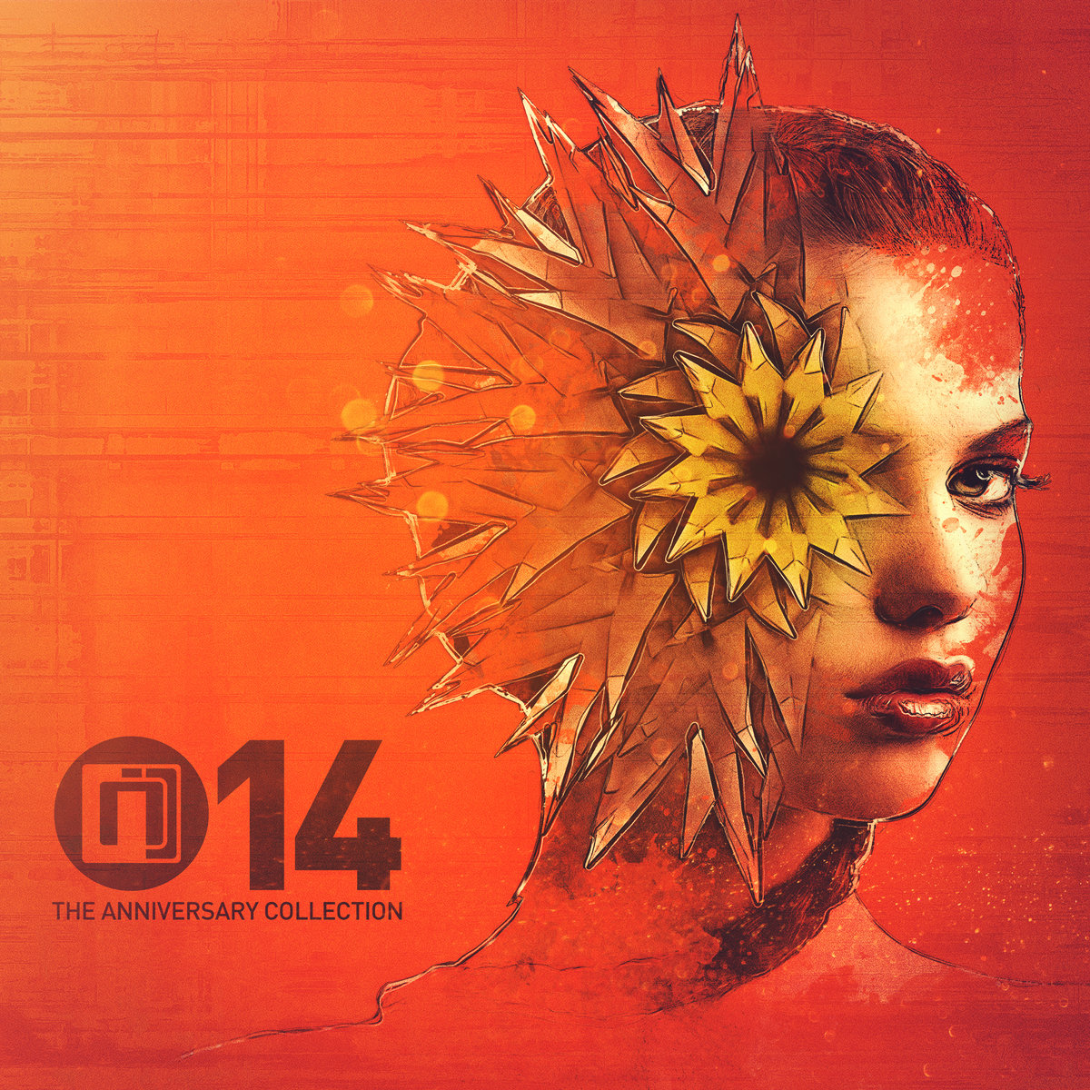 Intrigue 14 - The Anniversary Collection | Various Artists | Intrigue Music Intrigue 14 - The Anniversary Collection | Various Artists | Intrigue Music