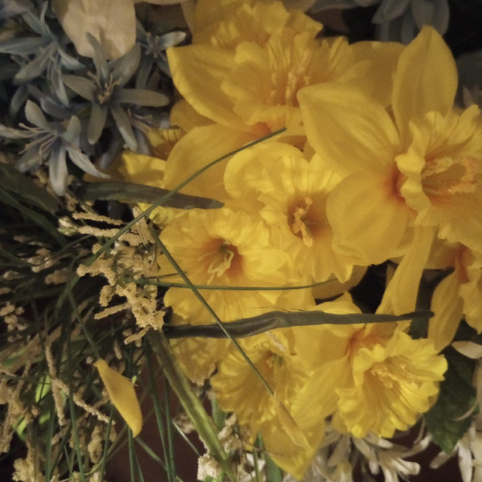 The Bellows | FLORAL FLOWERS | Tangelo Mantis