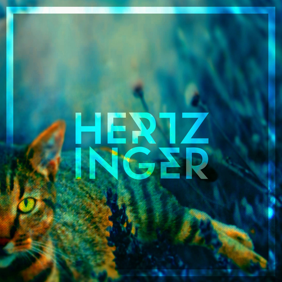EP 2016 | hertzinger