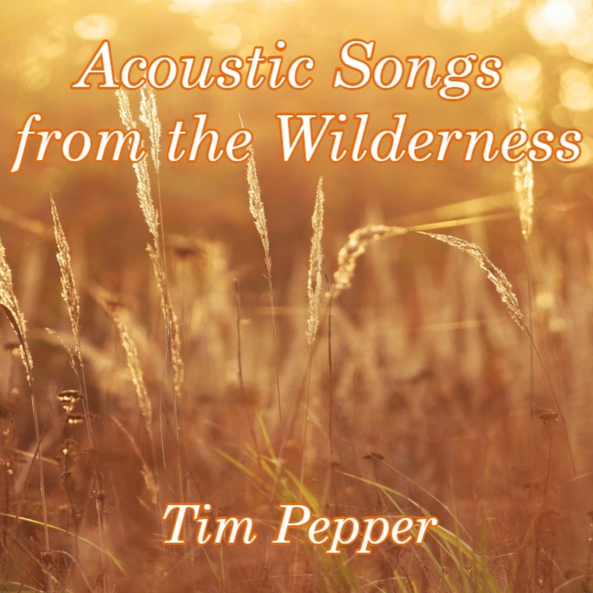 Acoustic Songs from the Wilderness | Tim Pepper
