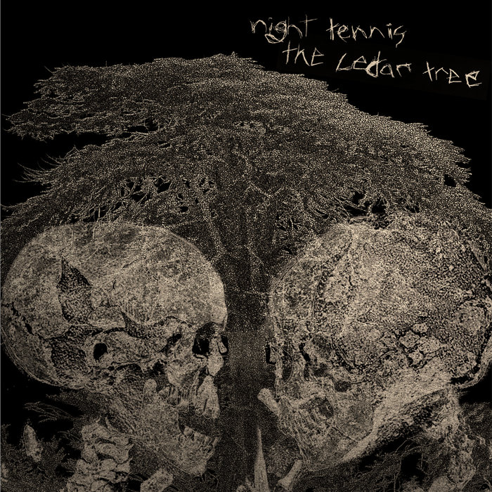 The Cedar Tree | Night Tennis
