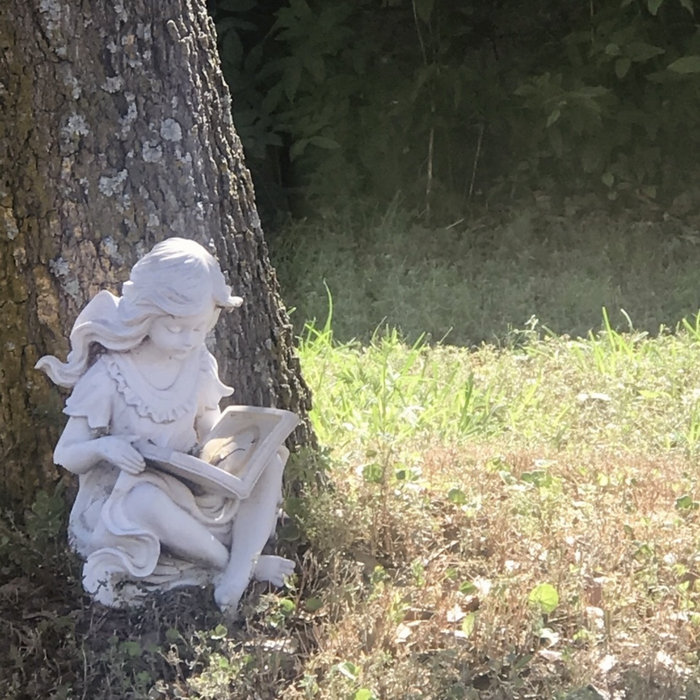 Preface | Tragic Flaw