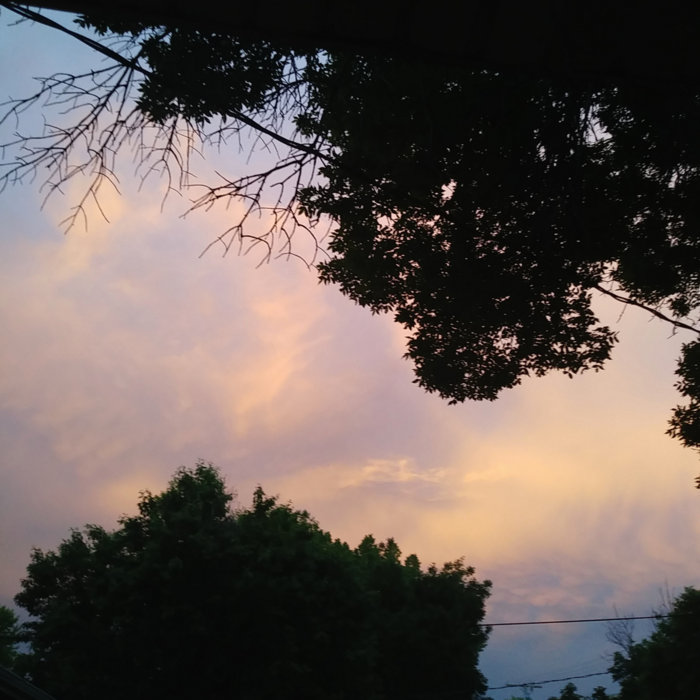 Live From The Breezeway | Nicole Foreman