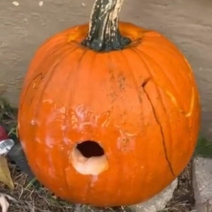 Cumpkin | Doinky | Special Ed