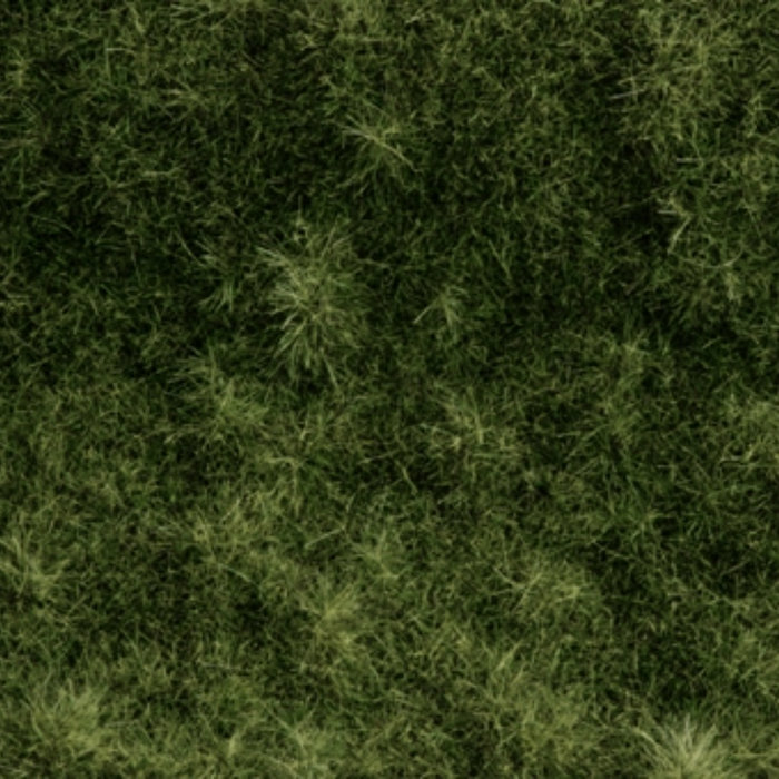 Touch Grass | Burna