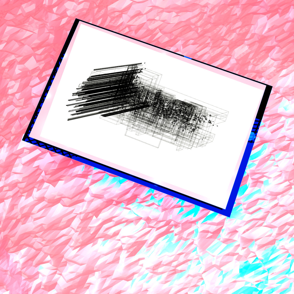 ORCHIDIST | Rule Follower