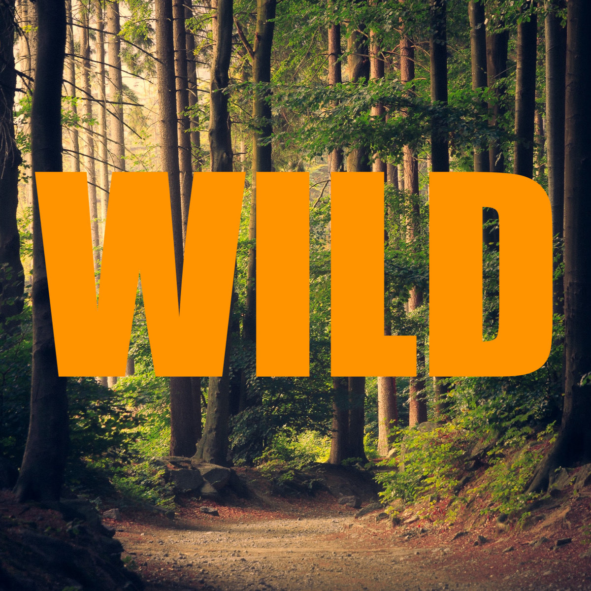 Wild | Roger Louis Harmon