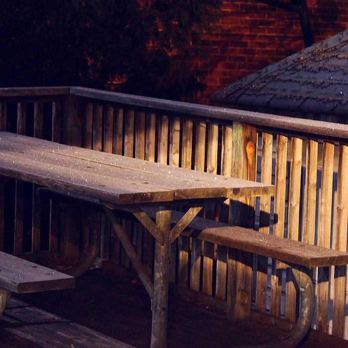 mboscseq | Darius | HALLEY LABS