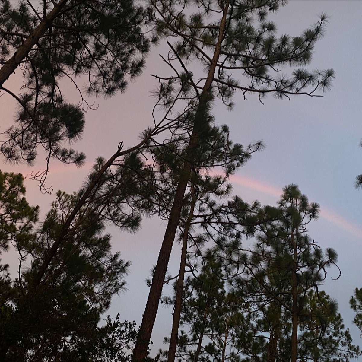 Fading Out | Alien Witch