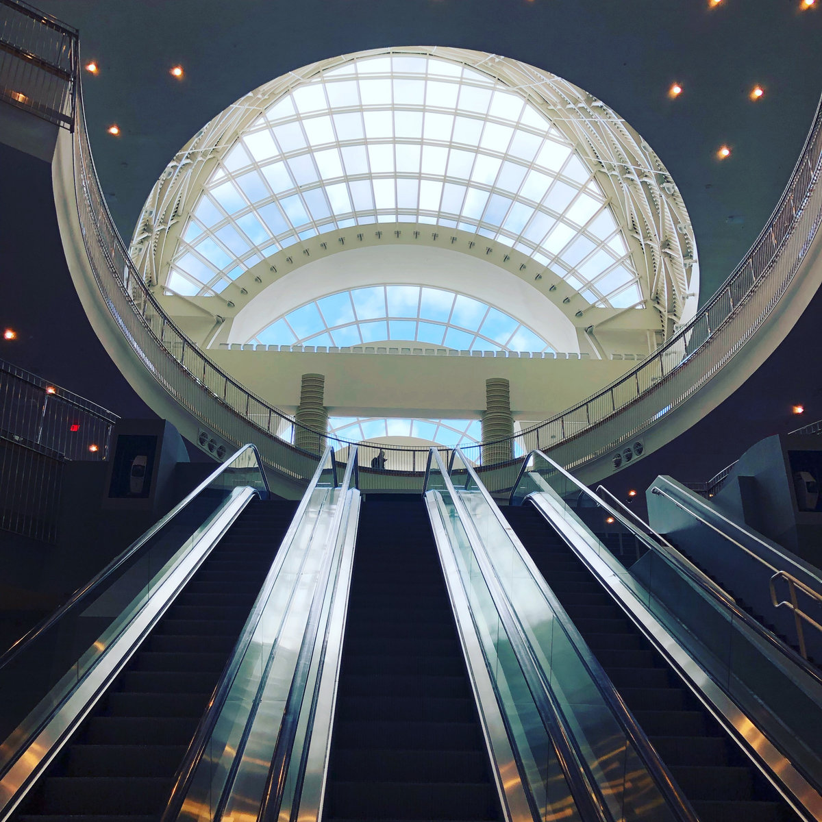 Basic Beauties | Alexandra Love