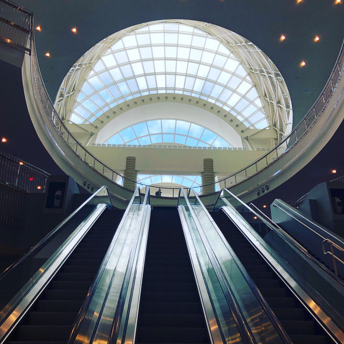 Basic Beauties | Alexandra Love