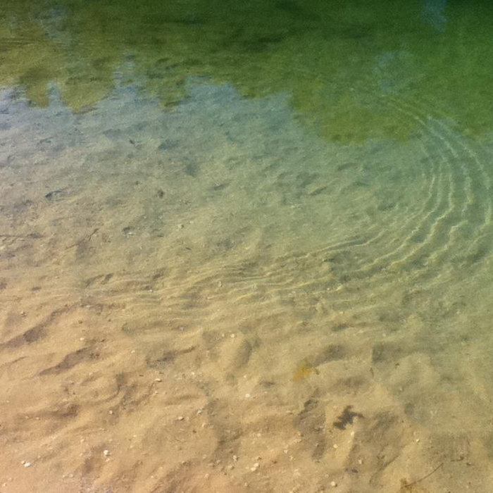 Cedar Water | White Snapper | c sides