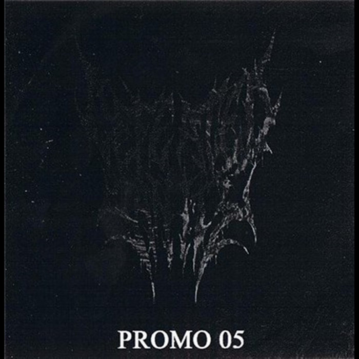 Promo 2005 | Defeated Sanity
