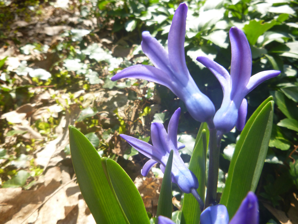 4/13/24 | RICK and the SUBSONICS