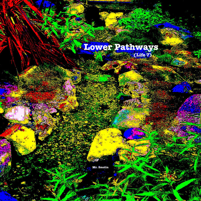 Lower Pathways (Life 7) | Mr. Smolin