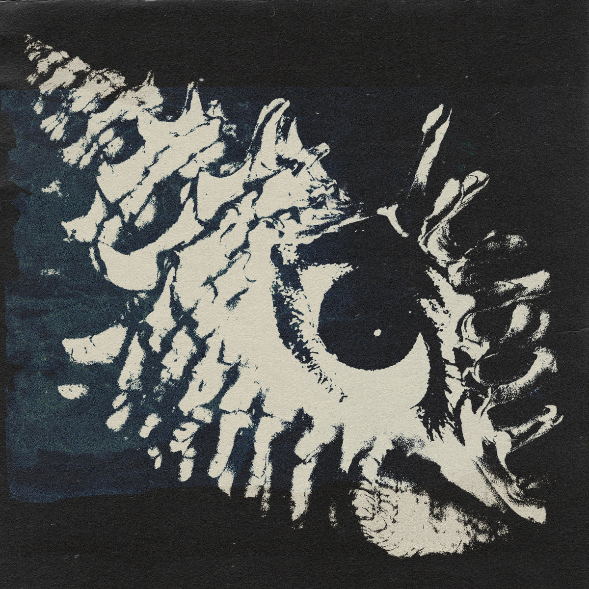 In Curved Air | Coral Web