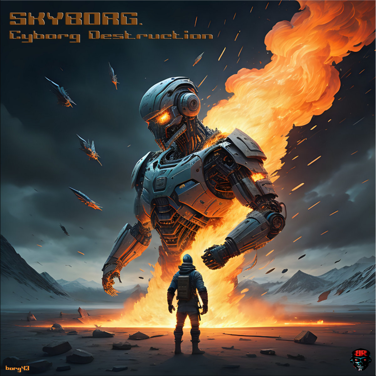 Cyborg Destruction | Skyborg | Borg recordings