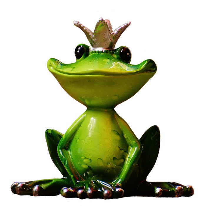 Frogs | Jason Coggins