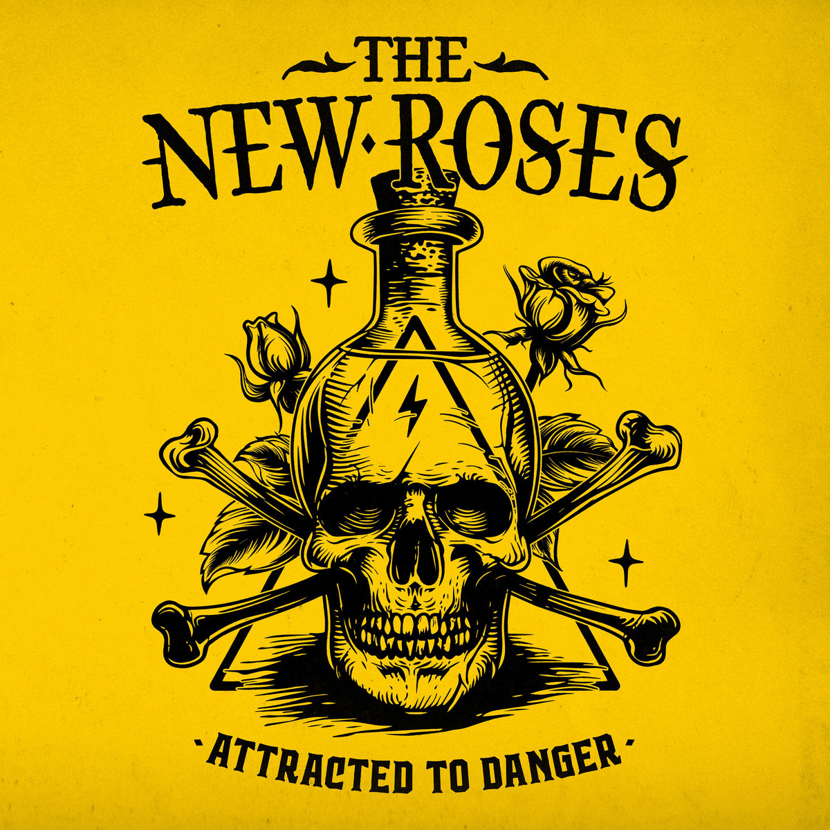 Attracted To Danger | The New Roses