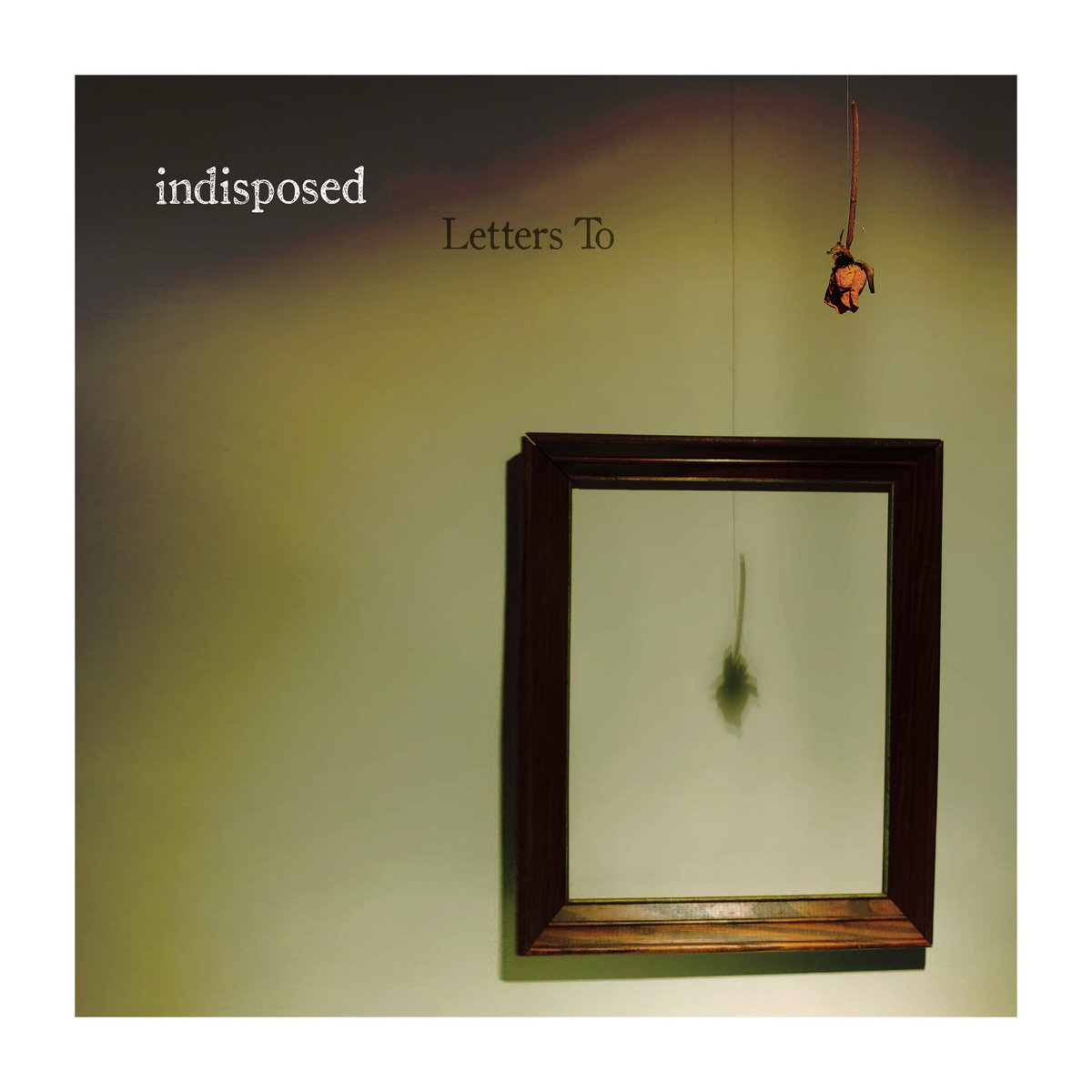 Letters To | Indisposed