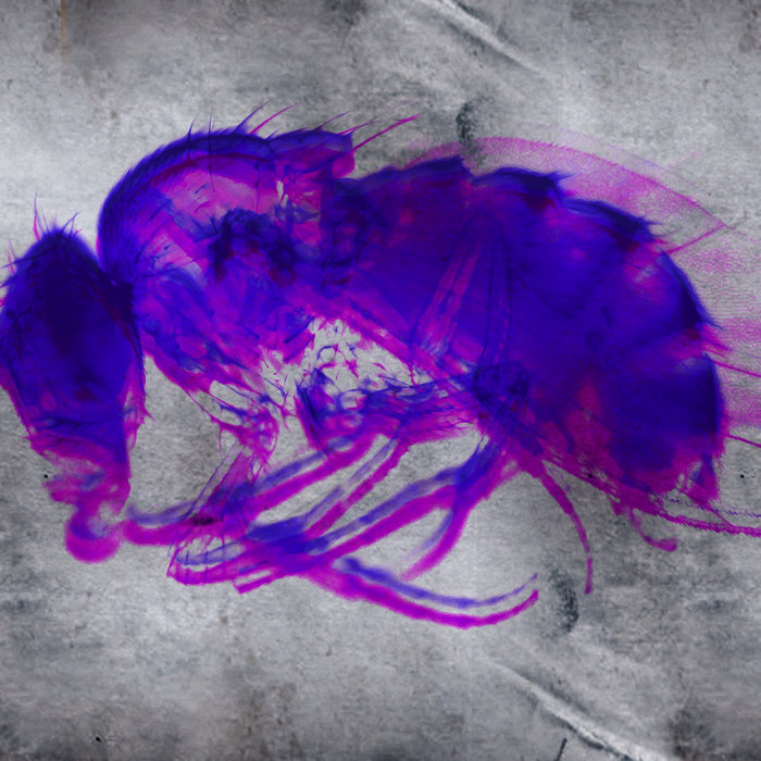 tell me | dub.chemistry