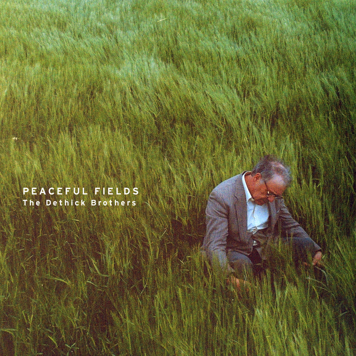 Peaceful Fields | The Dethick Brothers