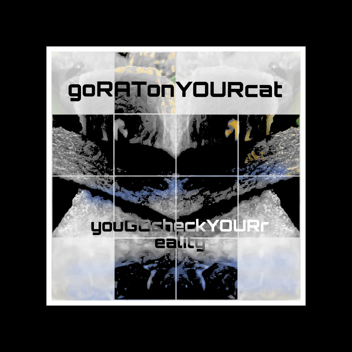 check your reality | GO RAT ON YOUR CAT