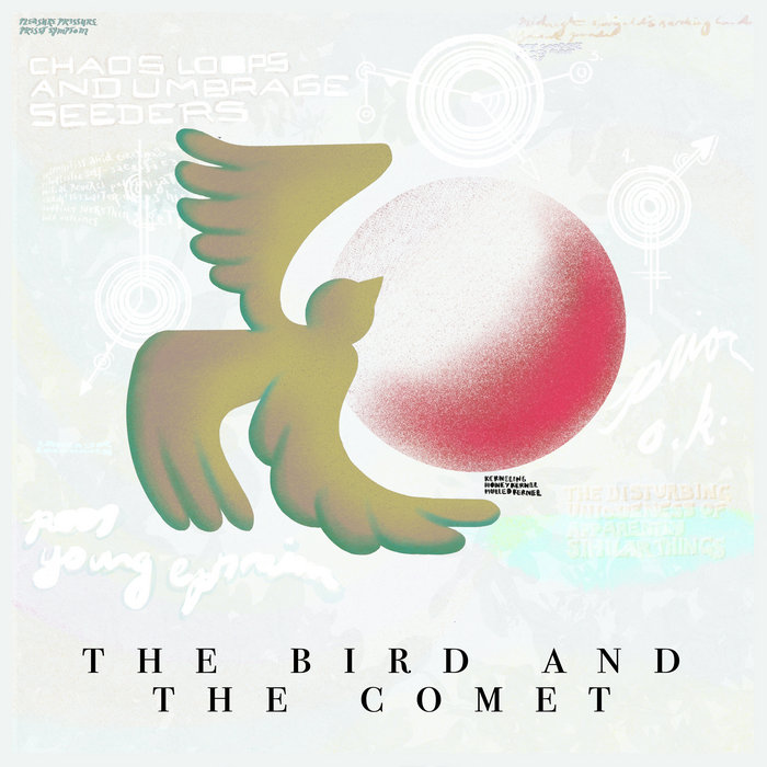 The Bird and the Comet | abernathy