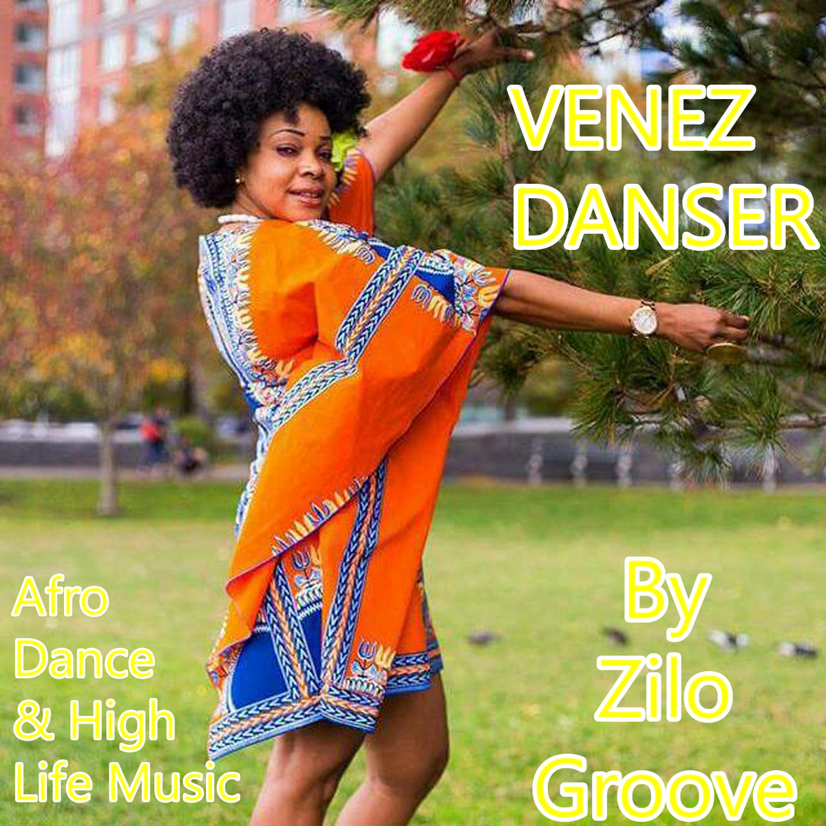 Venez Danser | Zilo Groove