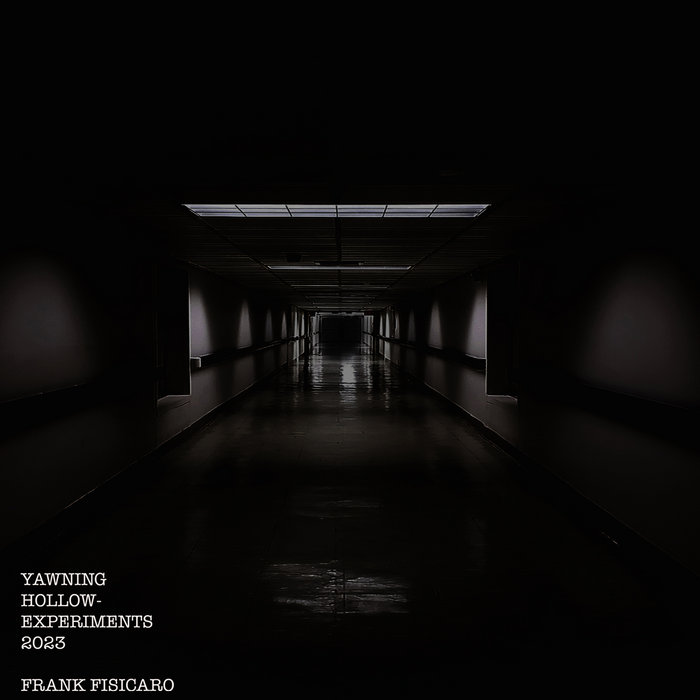 Yawning Hollow - Experiments 2023 | Frank Fisicaro