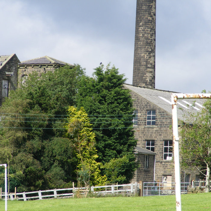 BABOON STRENGTH | EXPOSE YOUR EYES | Xemporium