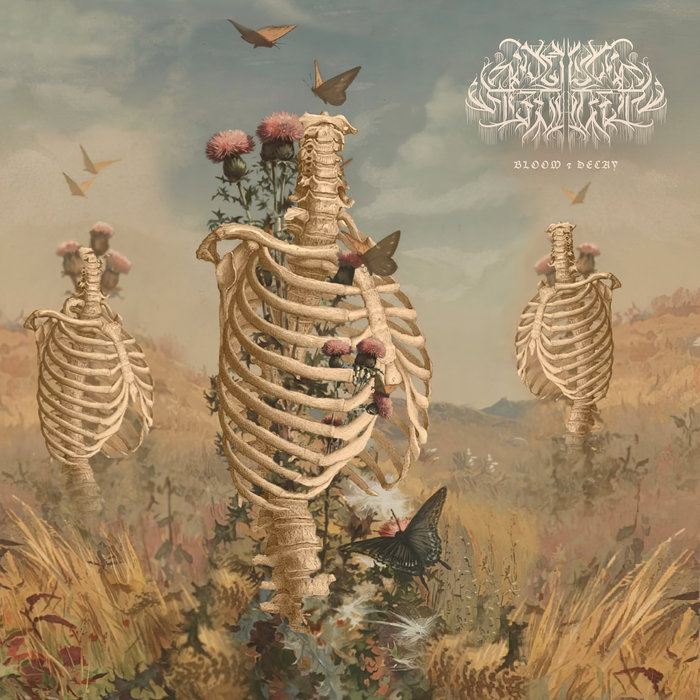 Bloom & Decay | Dawn Treader