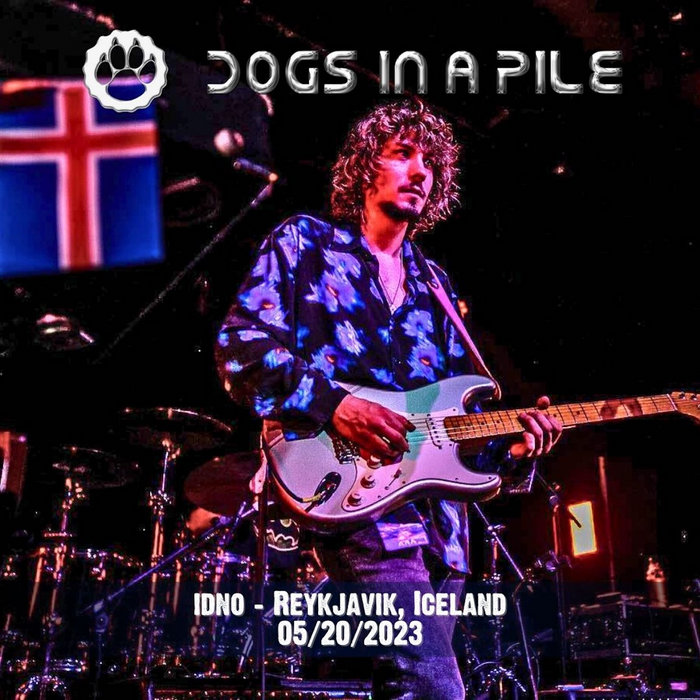 05/20/23 - Idno - Reykjavik, Iceland | Dogs In A Pile